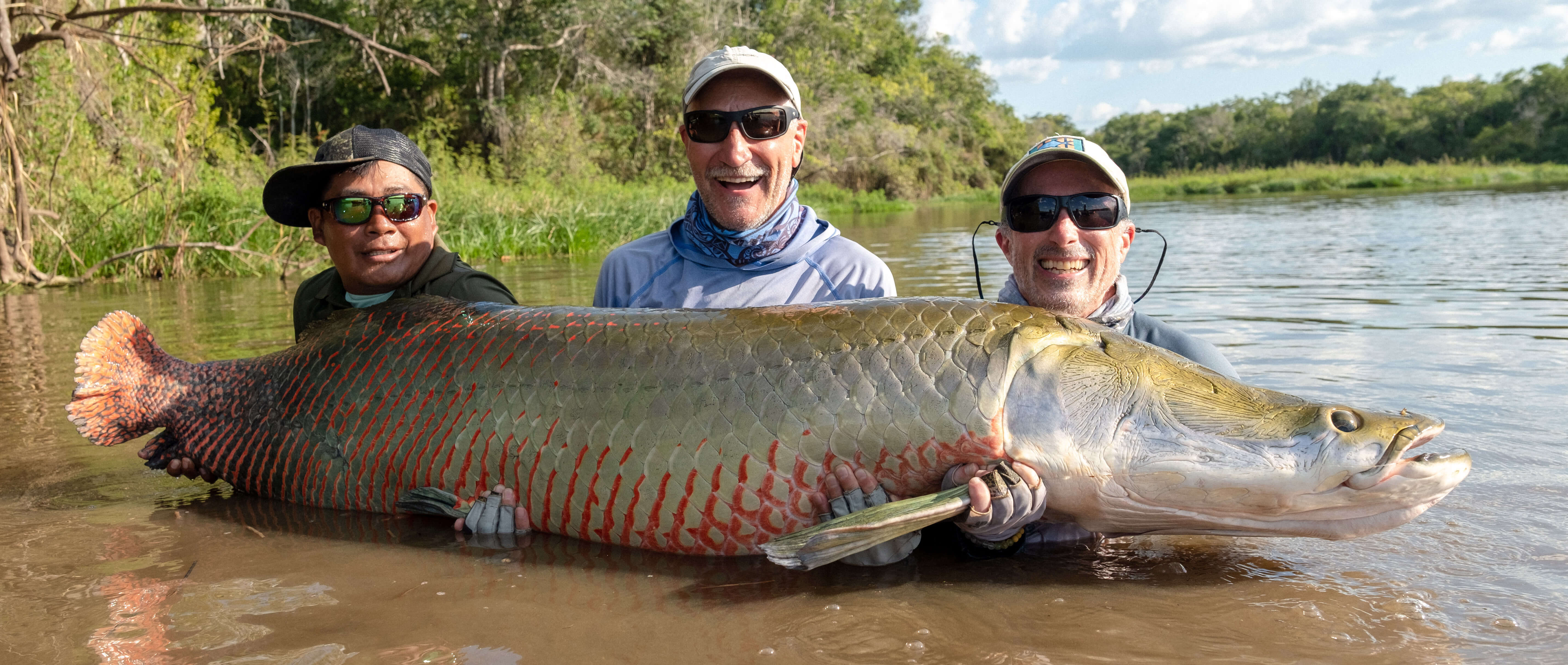 50+ Series Fly Lines – Cortland Line Company