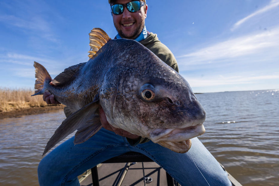 All Purpose XP – Cortland Line Company