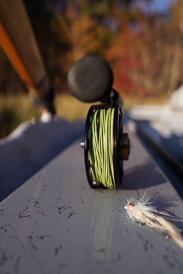 Streamer Sink Tip 10 - Freshwater Sinking Tip / Floating Fly Line ...