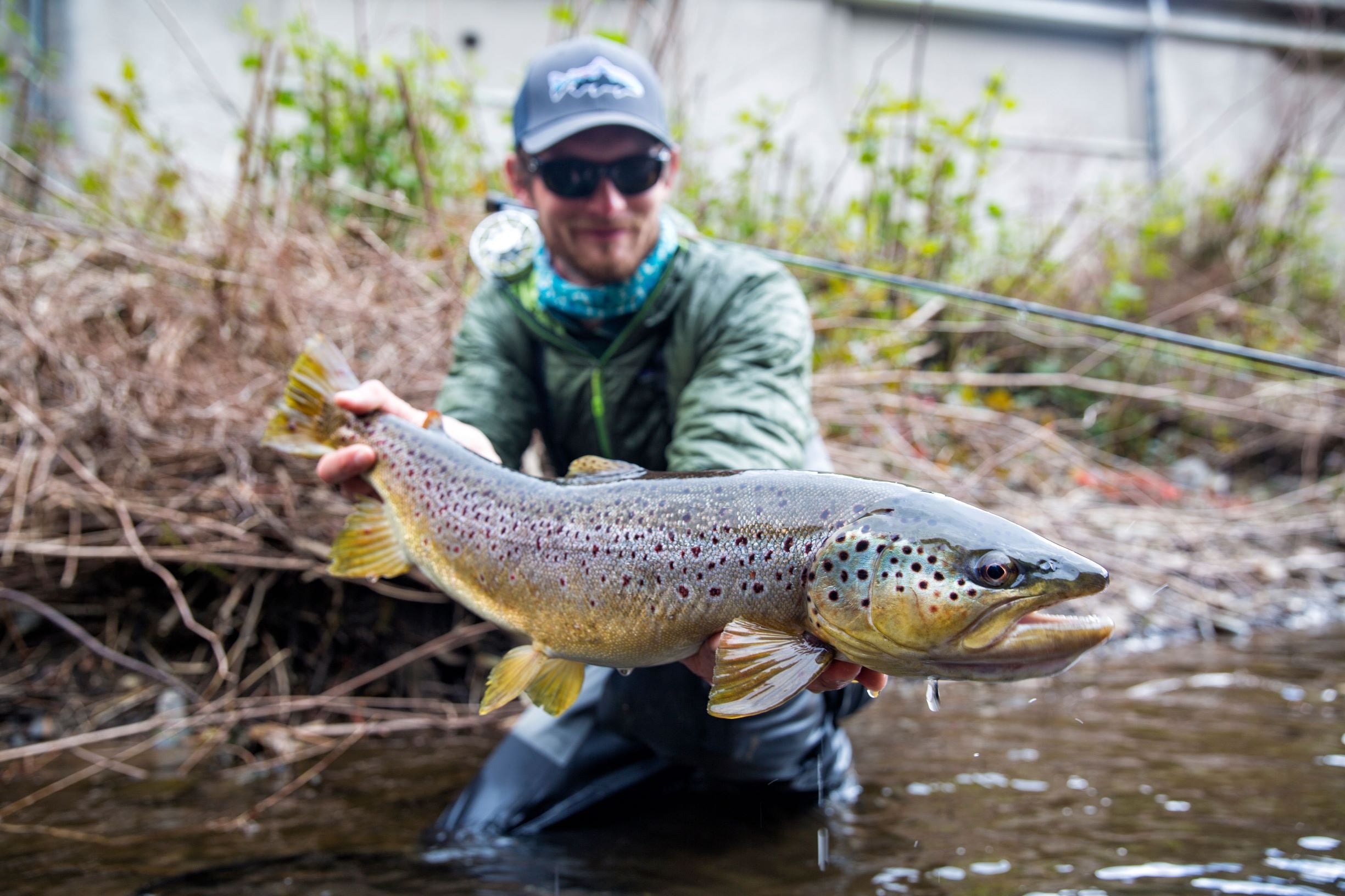 Competition MKII Series Fly Rod - Euro Style Nymphing – Cortland Line ...